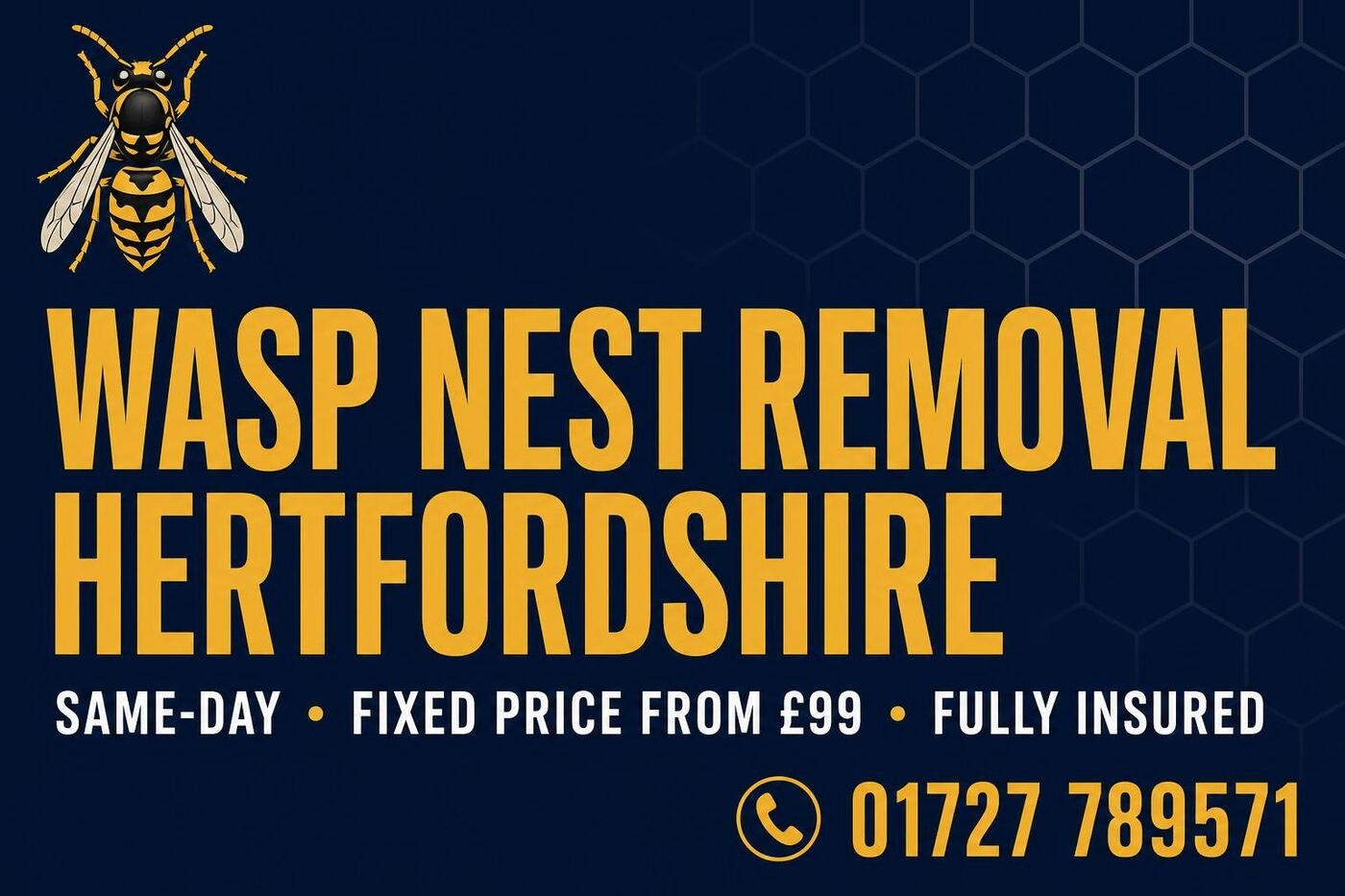 Wasp & Hornet Removal in Finchley N2 — Local Experts
